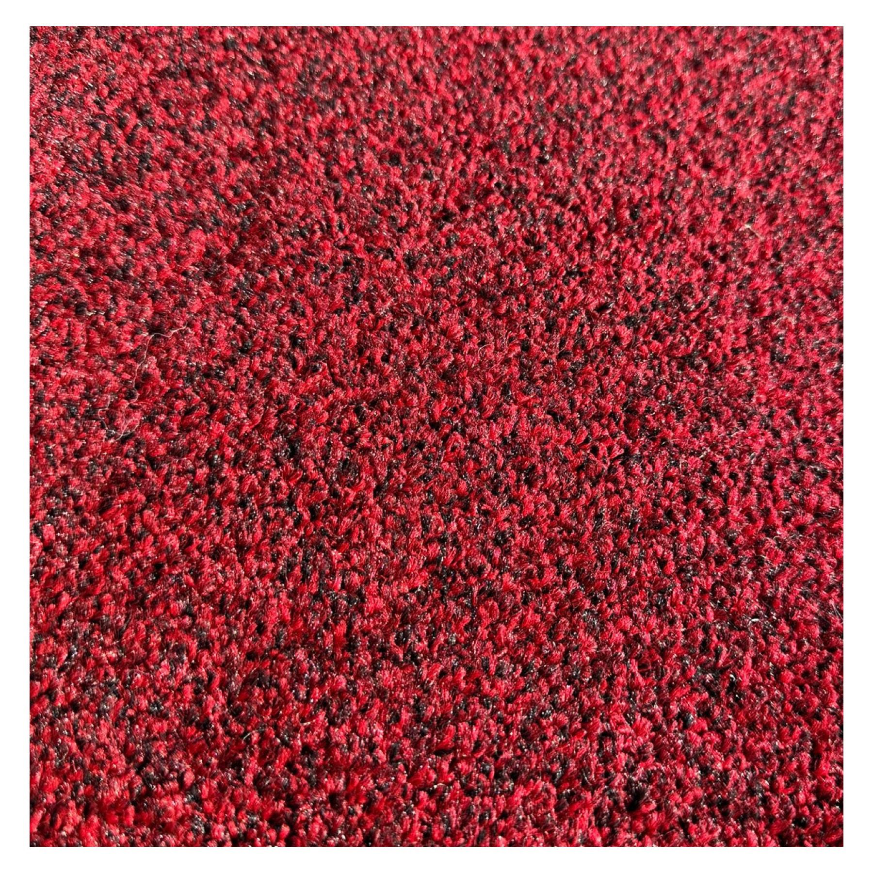 - Carpets - Pay Day Flooring