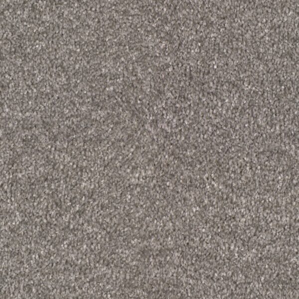 Steel Carpet Sample - Pay Day Flooring